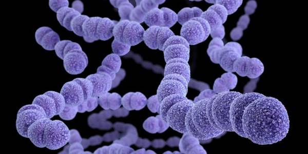 Etiology of pediatric bacteremia and empiric treatment time vary | 2 ...