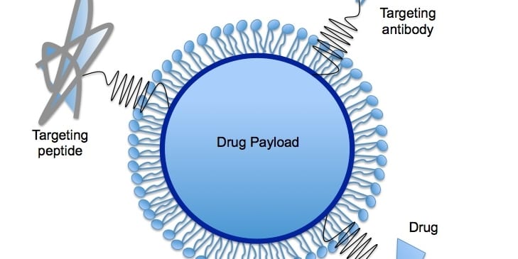 Nanoliposome allows for targeted drug delivery to treat pancreatic ...
