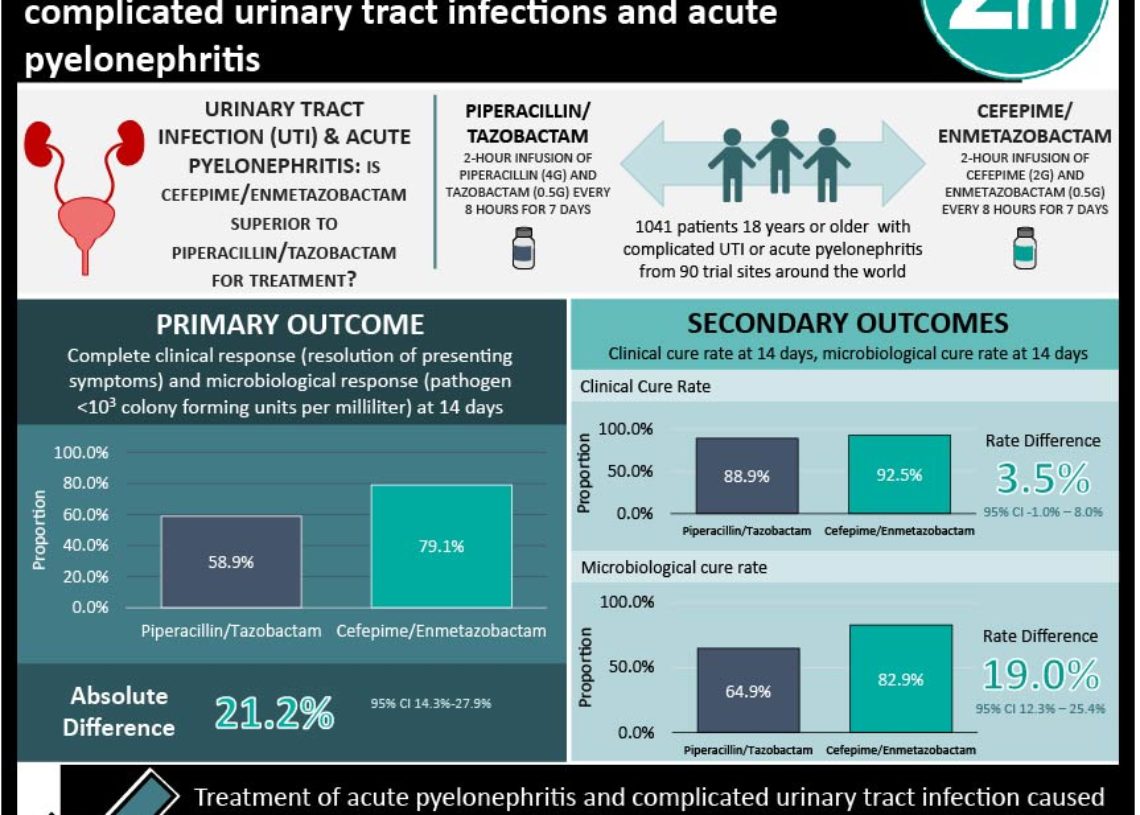 Patient Basics: Pyelonephritis | 2 Minute Medicine